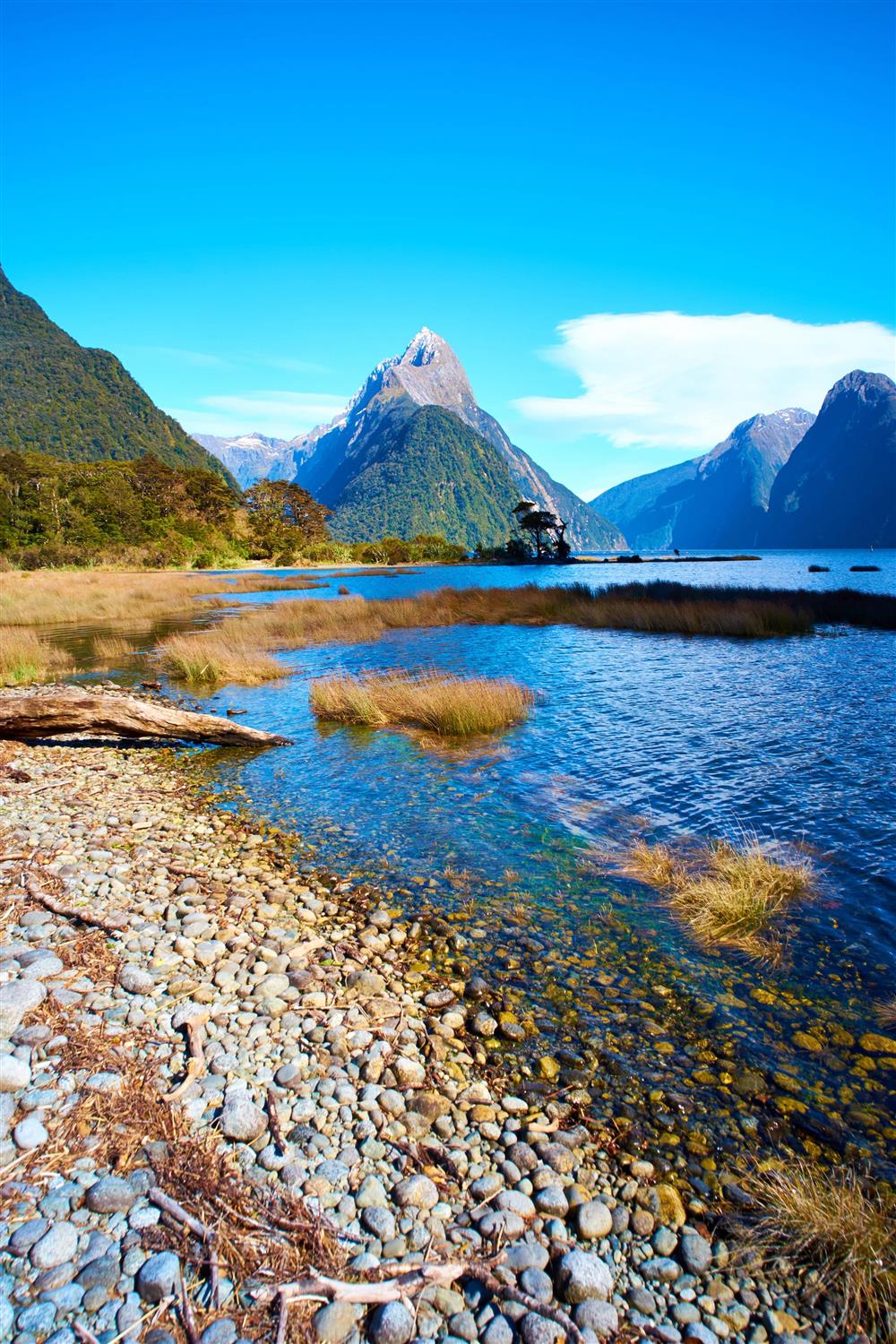 Rondreis Nieuw-Zeeland | Tenzing Travel | Journeys that last | Reizen ...