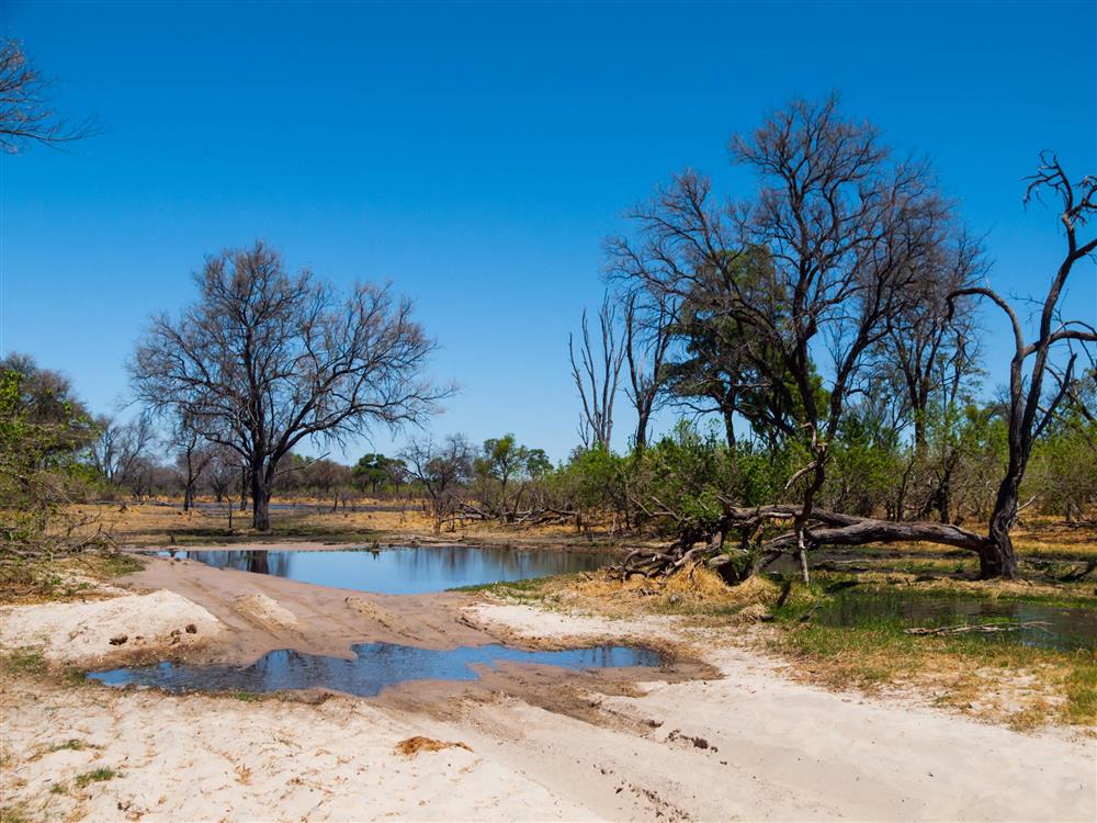Rondreis Botswana | Tenzing Travel | Journeys that last